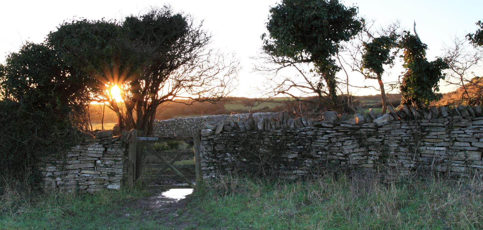 Durlston Country Park | Durlston Country Park
